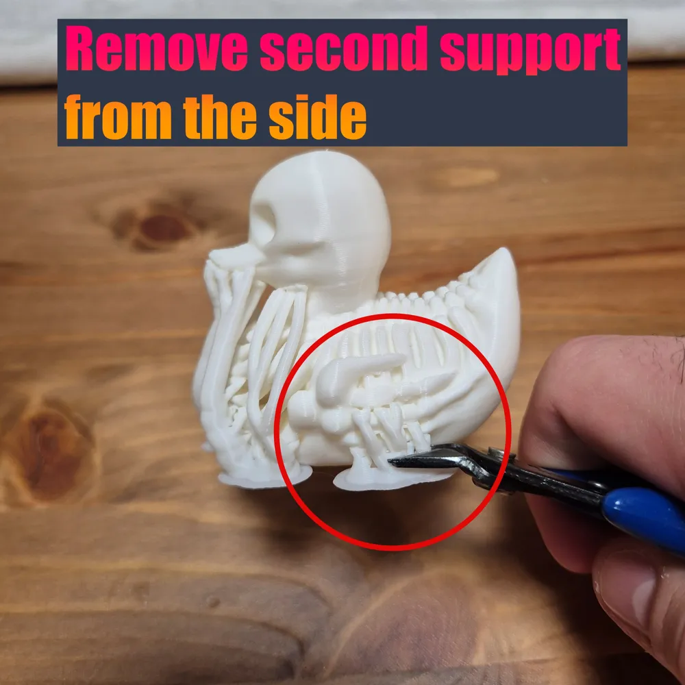 Skeleton Duck by Szaszpi MakerWorld: Download Free 3D Models