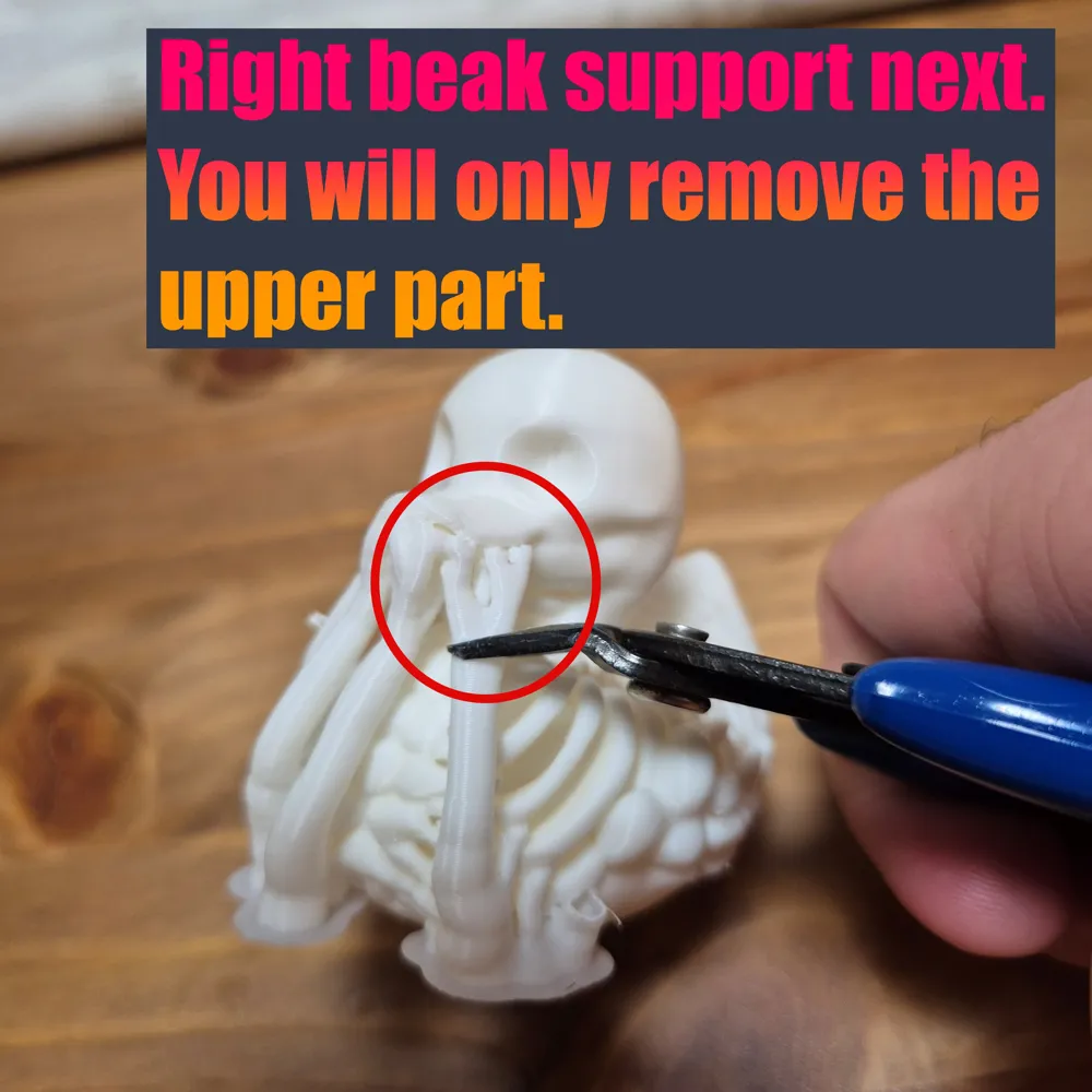 Skeleton Duck by Szaszpi MakerWorld: Download Free 3D Models