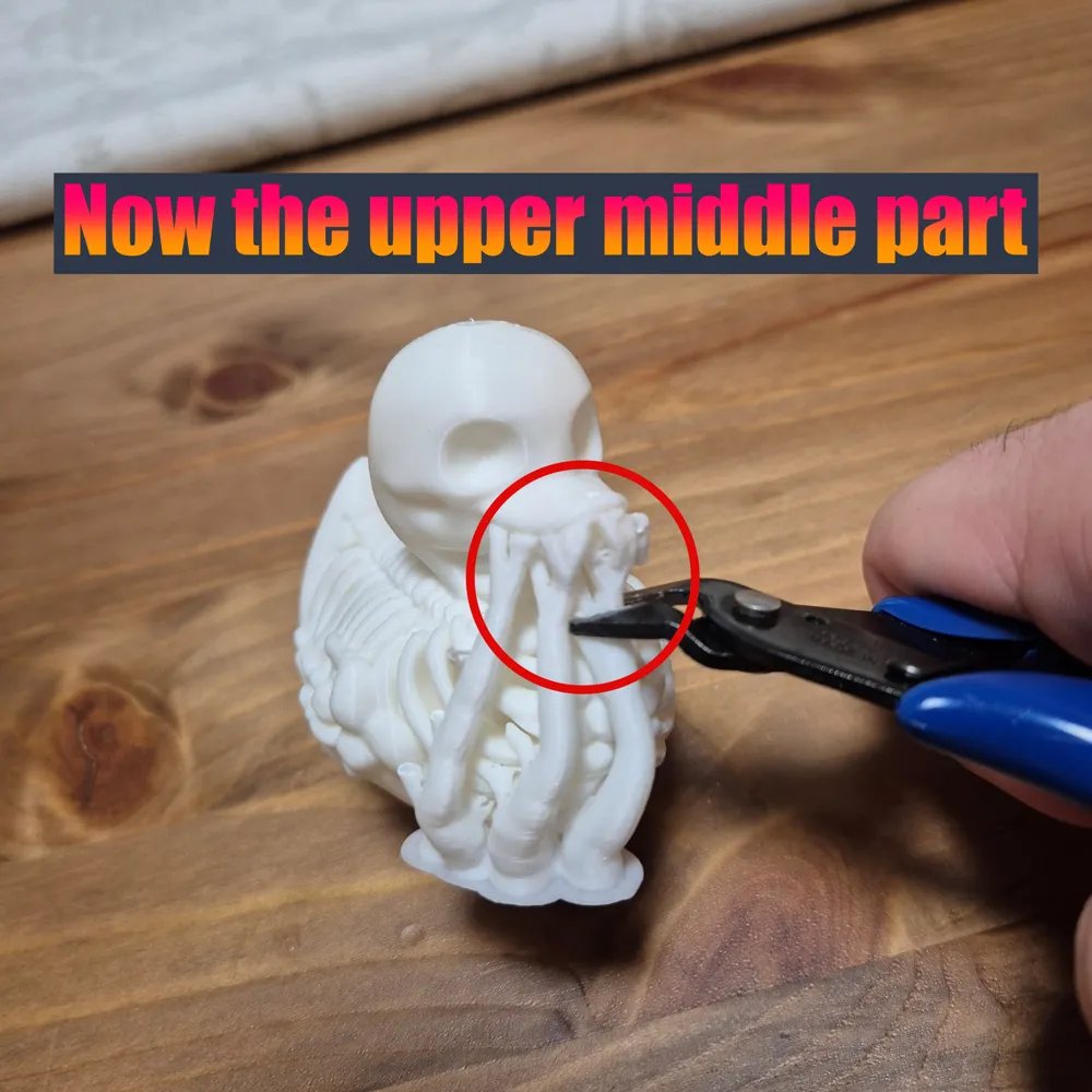 Skeleton Duck by Szaszpi MakerWorld: Download Free 3D Models