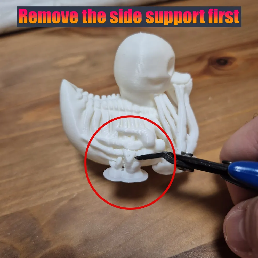 Skeleton Duck by Szaszpi MakerWorld: Download Free 3D Models