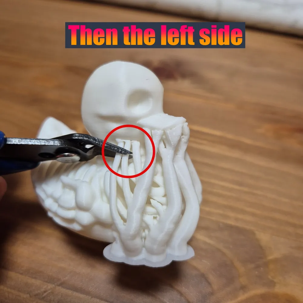 Skeleton Duck by Szaszpi MakerWorld: Download Free 3D Models