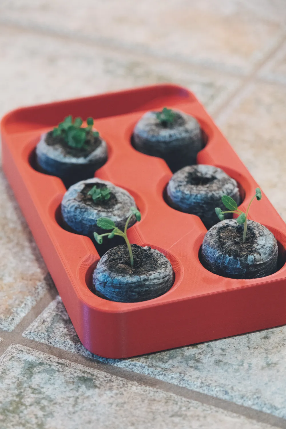 Seedling Starter Tray by Josh-3D - MakerWorld