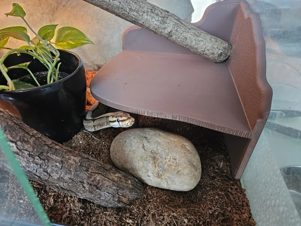 Terrarium shelf - Free 3D Print Model - MakerWorld