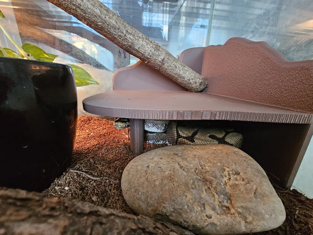 Terrarium shelf - Free 3D Print Model - MakerWorld