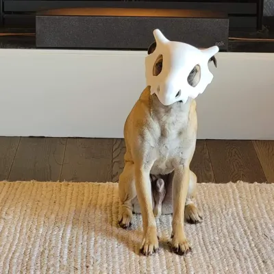 Cubone Dog and Cat Mask (Cubone from Pokémon) Remixed by SB MakerWorld ...