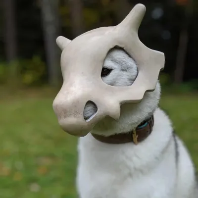 Cubone Dog and Cat Mask (Cubone from Pokémon) Remixed by SB MakerWorld ...