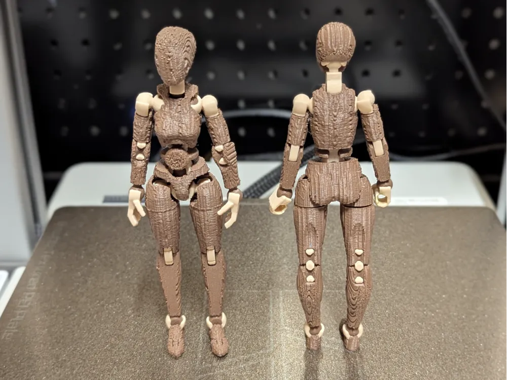 Wooden Dummy Carbon 13 Female 110% scale - Free 3D Print Model - MakerWorld