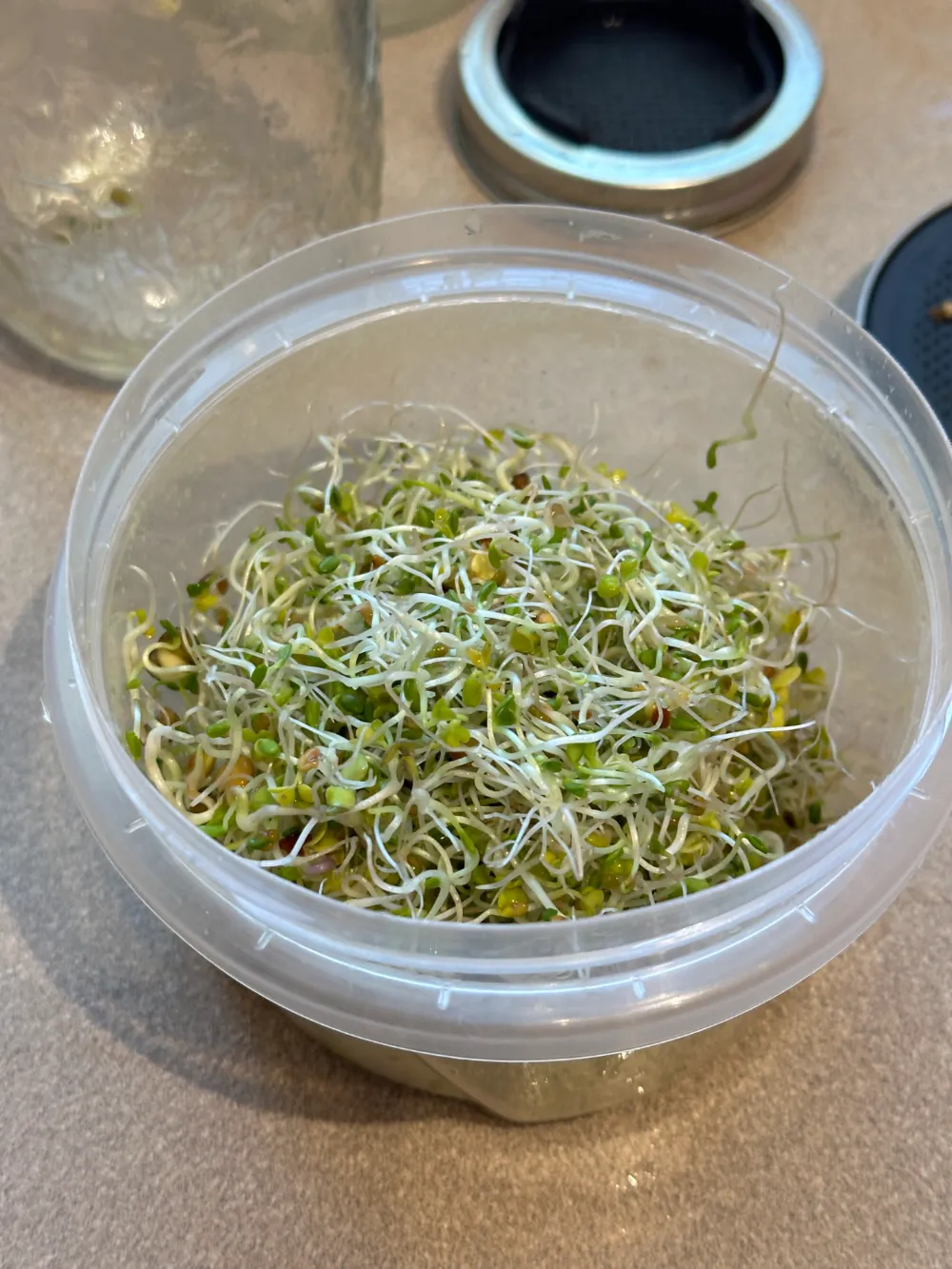 Mason jar sprouting lids by madizmo - MakerWorld