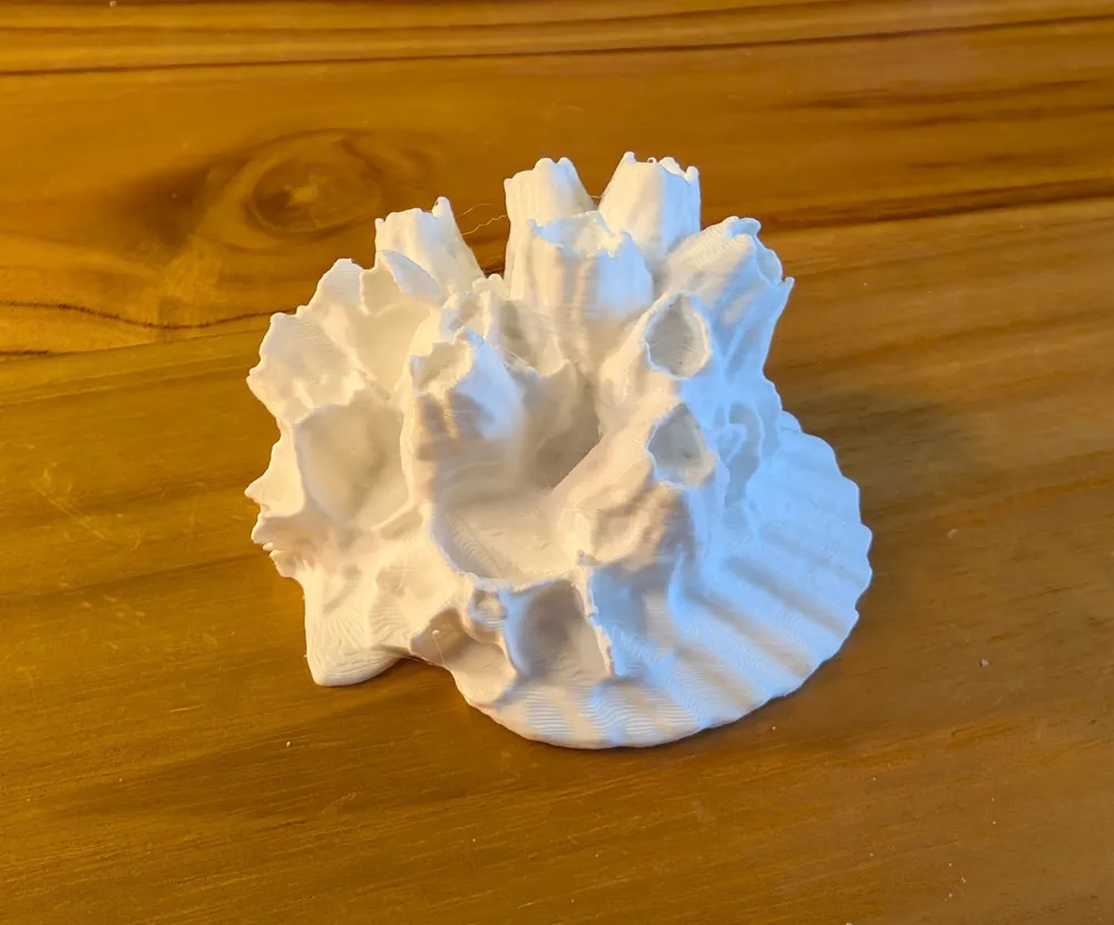 Barnacles on a Scallop Shell Remixed by Elmar - MakerWorld