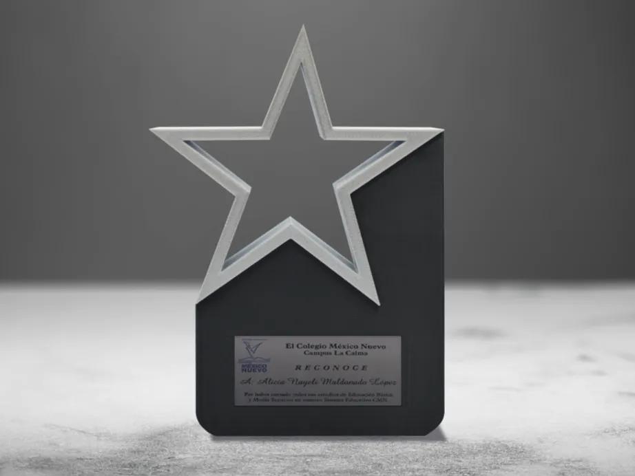Star Trophy - Free 3D Print Model - MakerWorld
