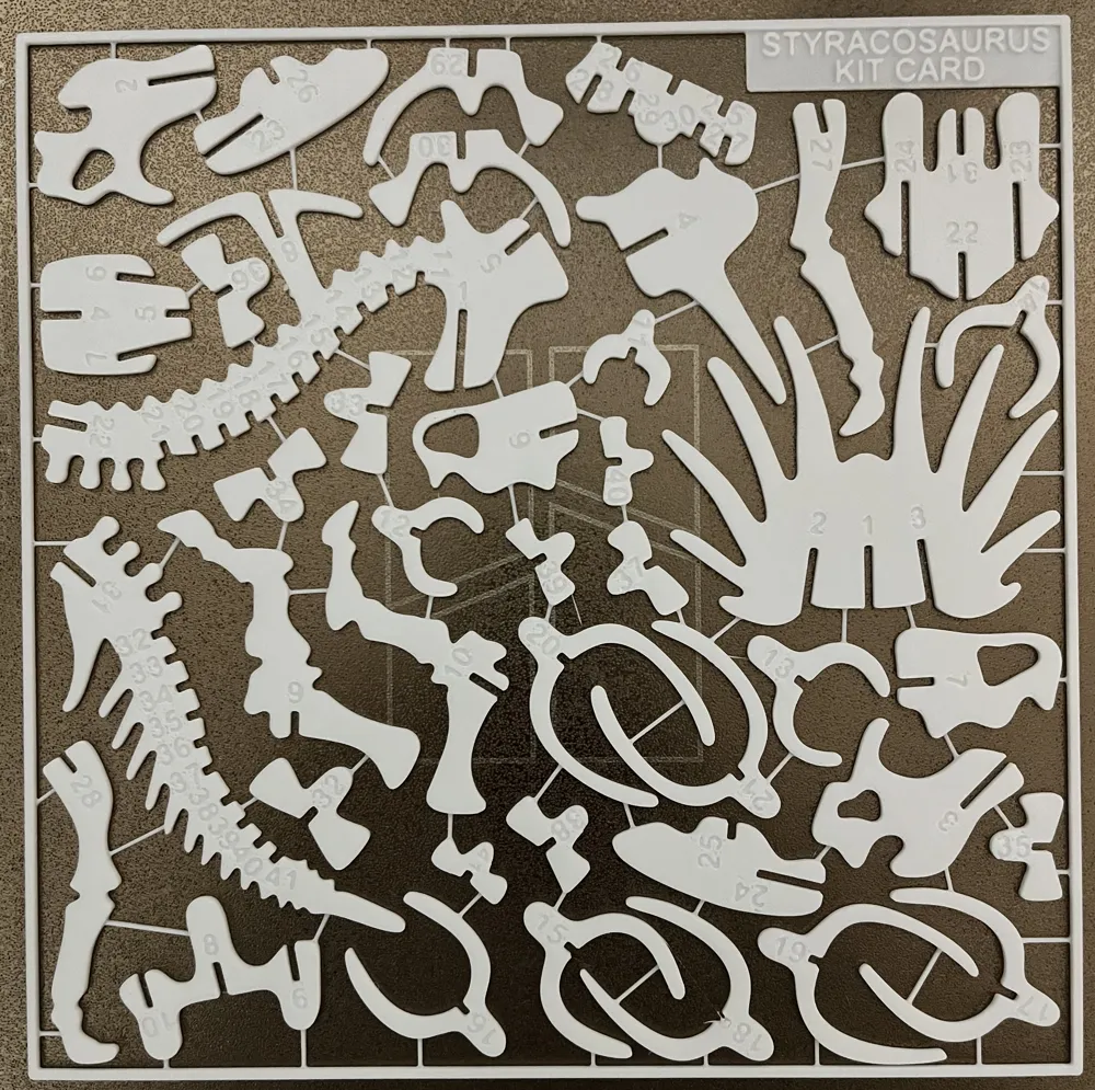 Styracosaurus Dinosaur Kit Card - DinoCards - Free 3D Print Model ...