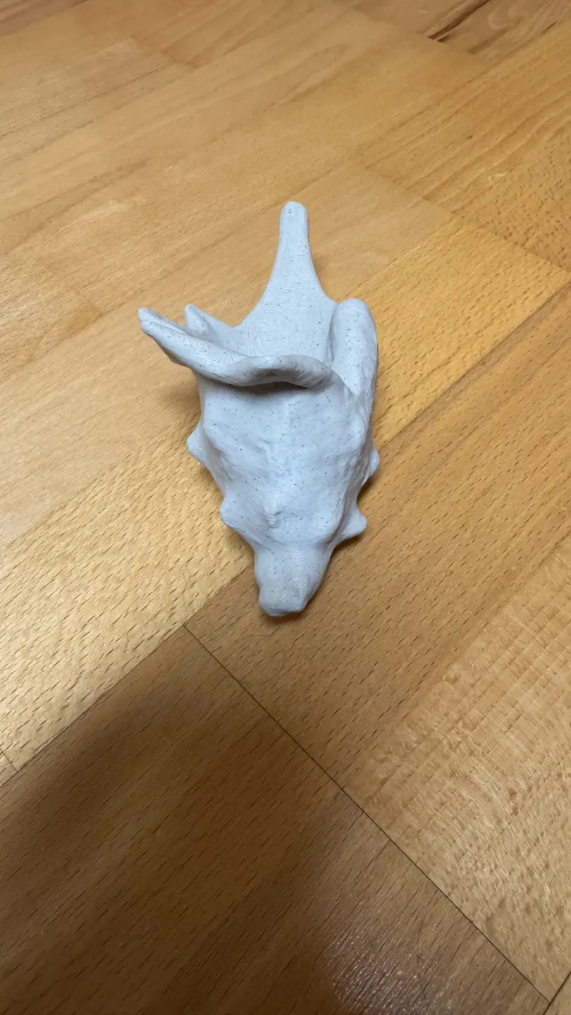 Seashell Sculpture by dkzv - MakerWorld