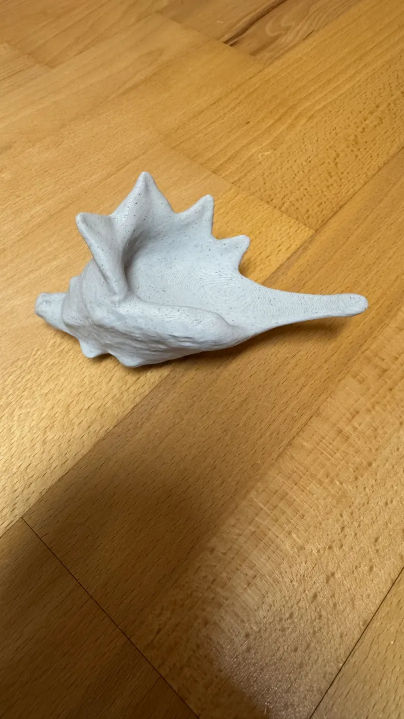 Seashell Sculpture by dkzv - MakerWorld