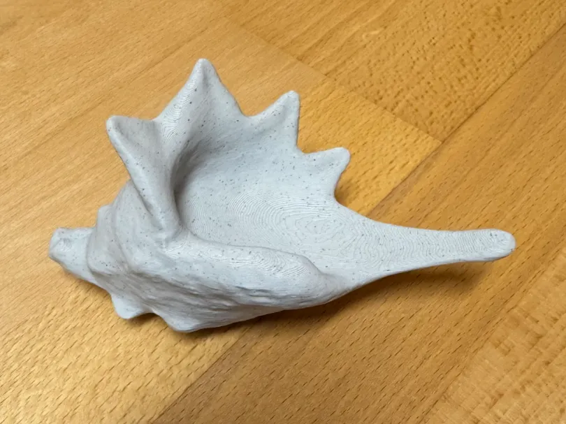 Seashell Sculpture by dkzv - MakerWorld