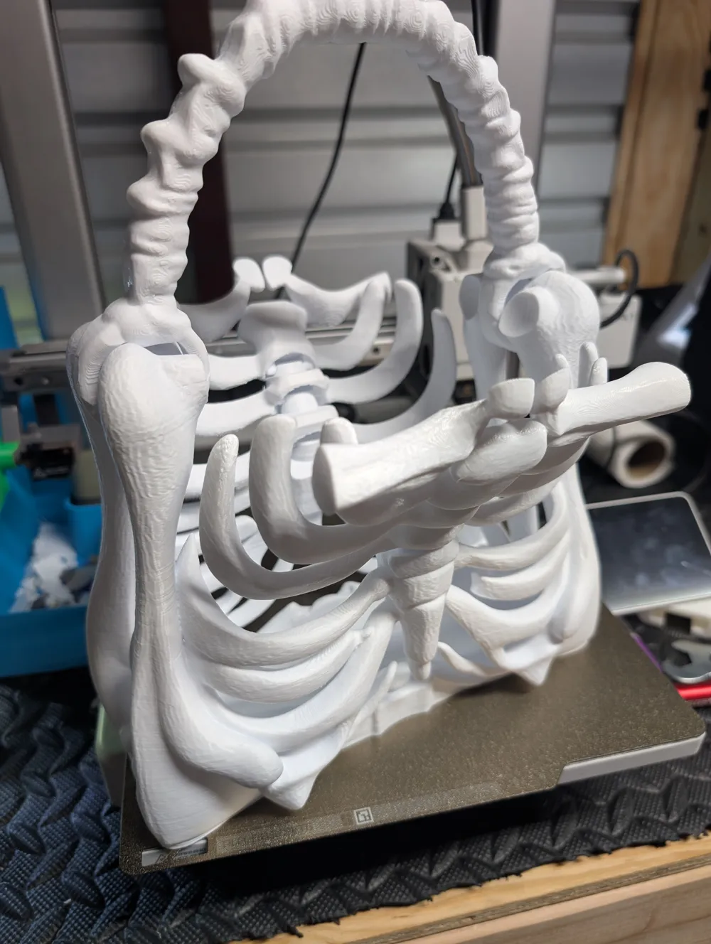 bone bag Remixed by jason westfall MakerWorld: Download Free 3D Models