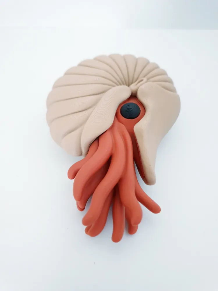 Nautilus Figurine by Midjam MakerWorld: Download Free 3D Models
