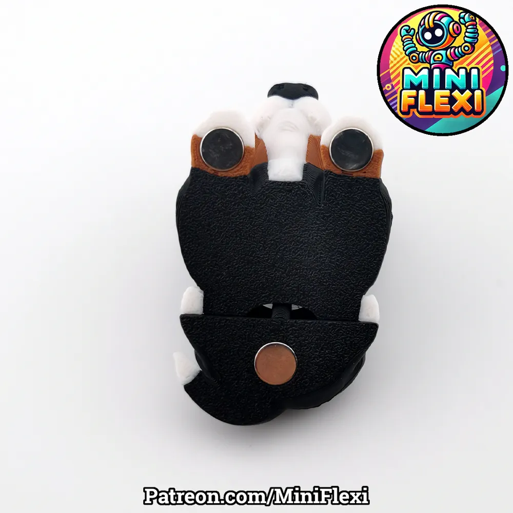 Flexi Bernese Mountain Dog Toy, Keychain & Magnet by Mini Flexi ...