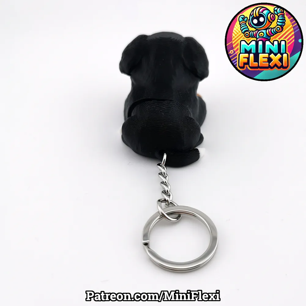Jouet, porte-clés et aimant Chien de montagne bernois Flexi - Modèle d ...