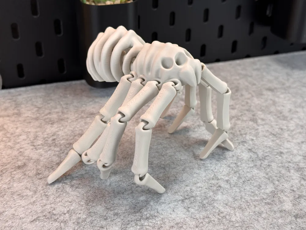 Flexi Skeleton Spider V2 - Free 3D Print Model - MakerWorld