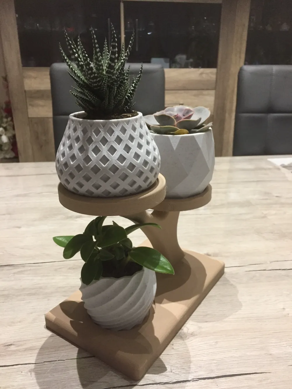 Succulent plant pot display stand by fred130825400 MakerWorld: Download ...