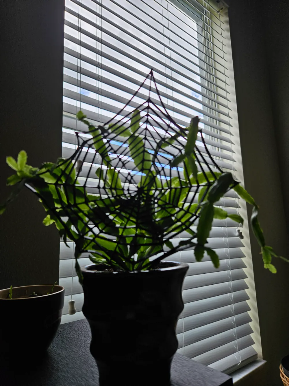 Simple Spider Web Trellis by UCNBB45 - MakerWorld