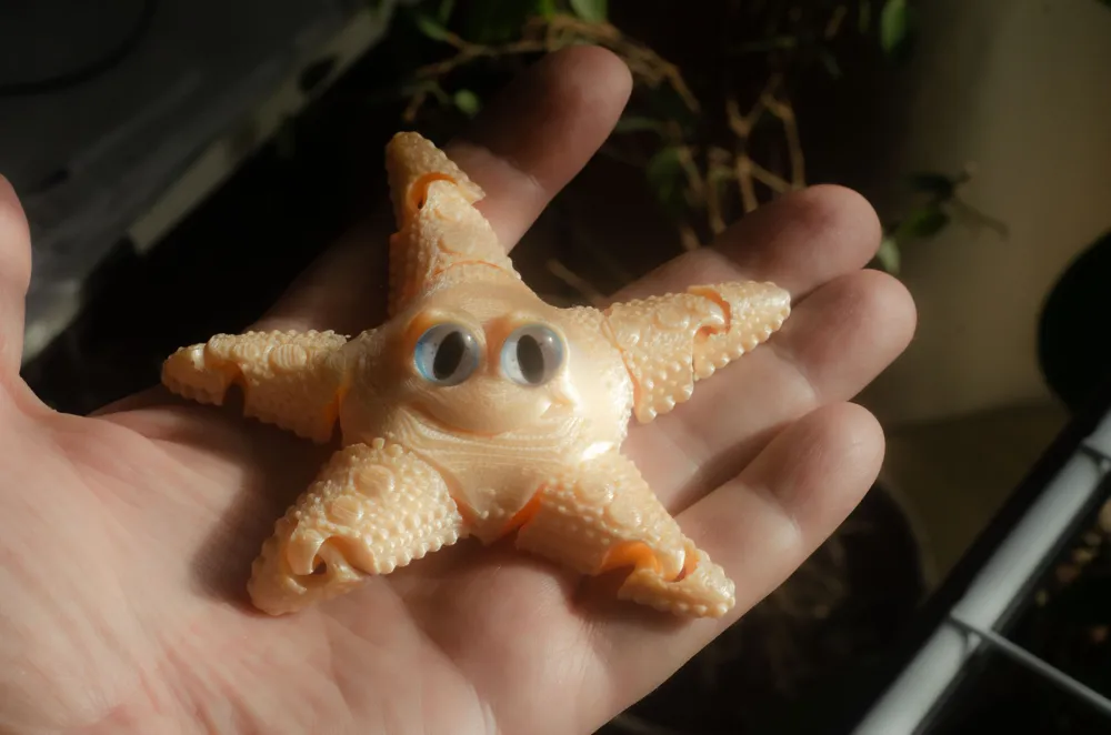 Smiley Starfish – Cute Flexible 3D Printed Toy - Free 3D Print Model ...