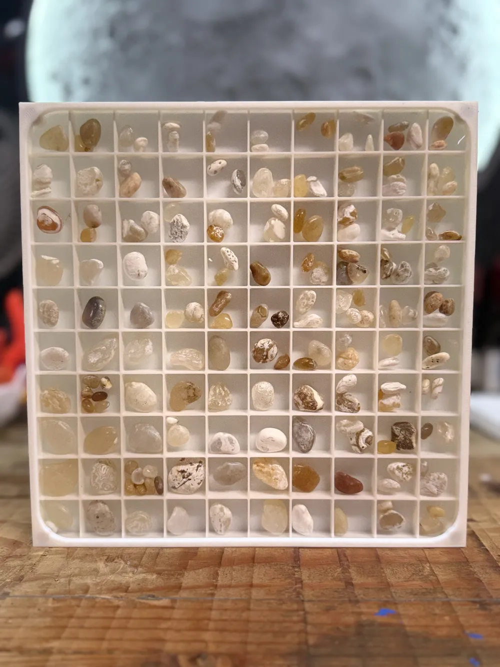 100 Compartment Display with Magnetic Lid - Free 3D Print Model ...