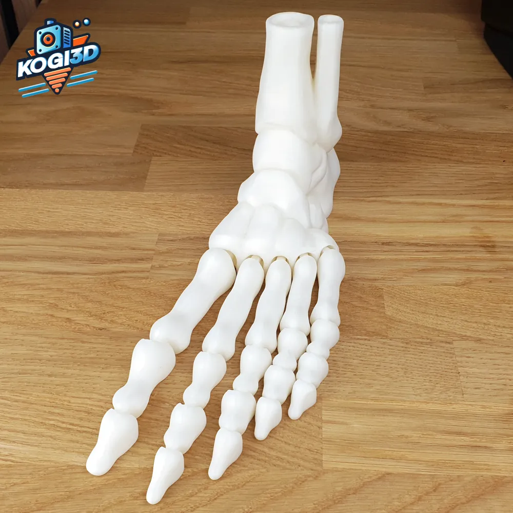 Print in Place Fully Articulated Skeleton Foot - Free 3D Print Model ...
