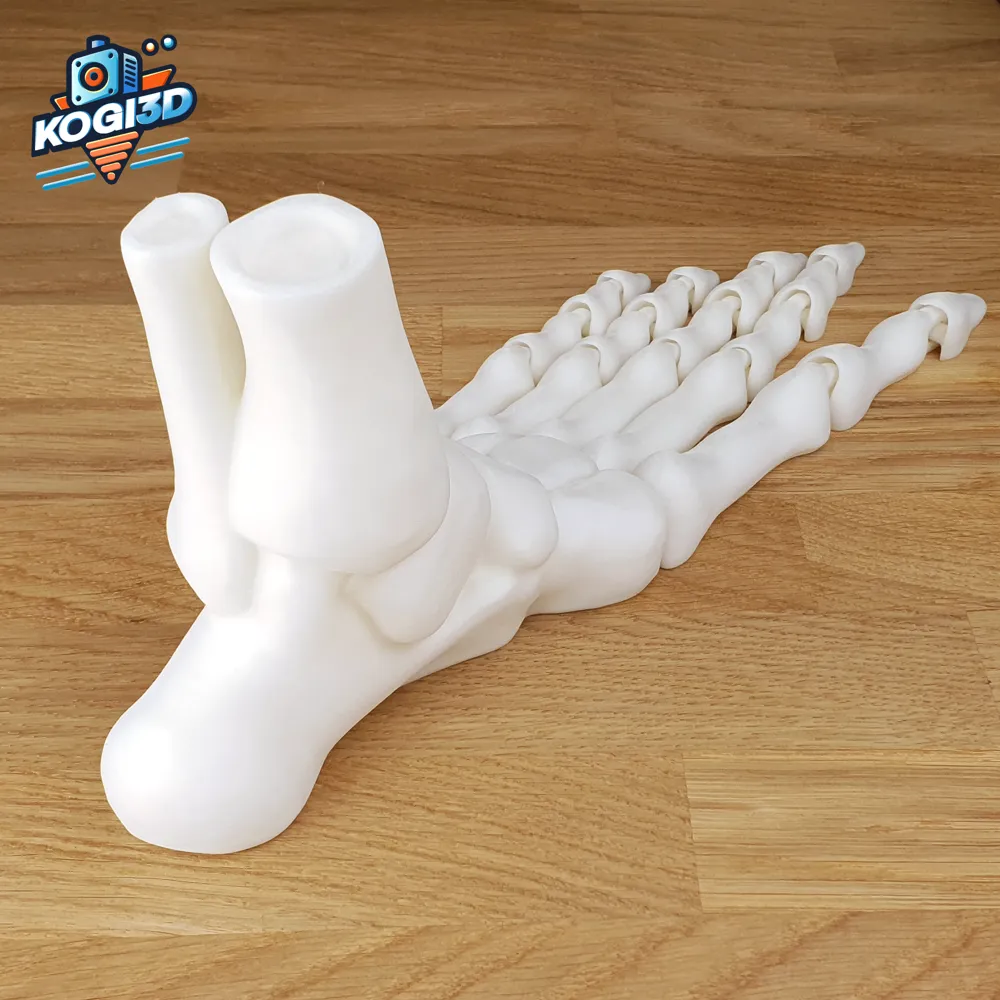 Print in Place Fully Articulated Skeleton Foot by KOGI3D MakerWorld ...