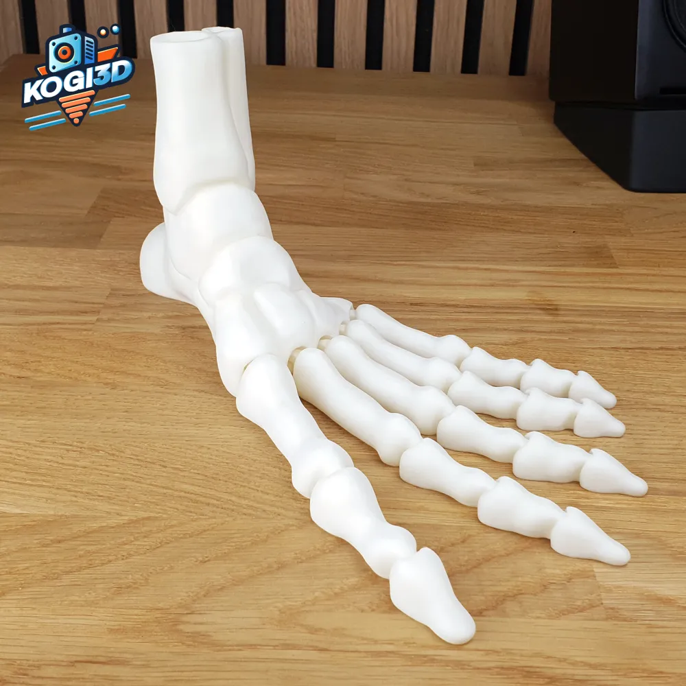 Print in Place Fully Articulated Skeleton Foot - Free 3D Print Model ...