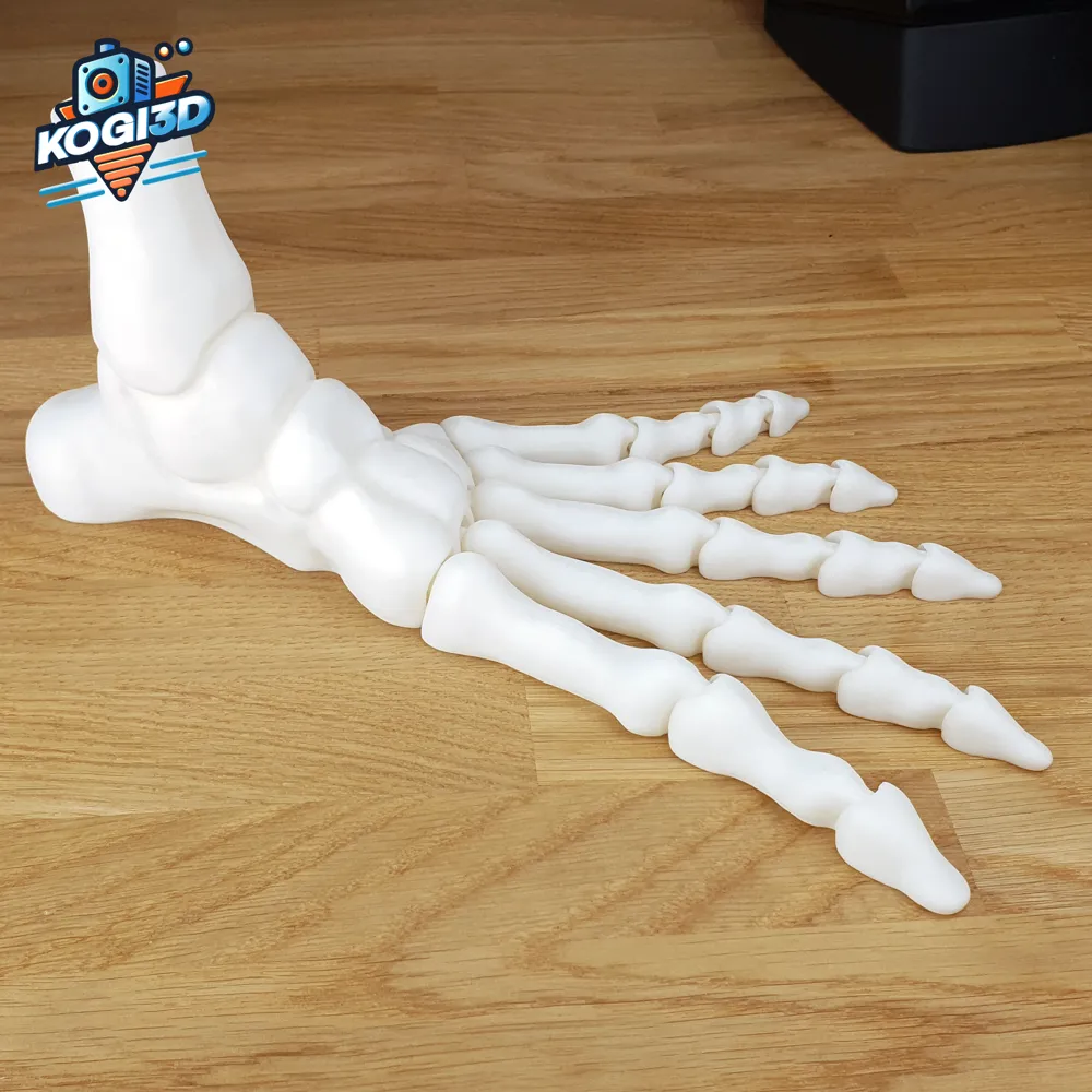 Print in Place Fully Articulated Skeleton Foot - Free 3D Print Model ...