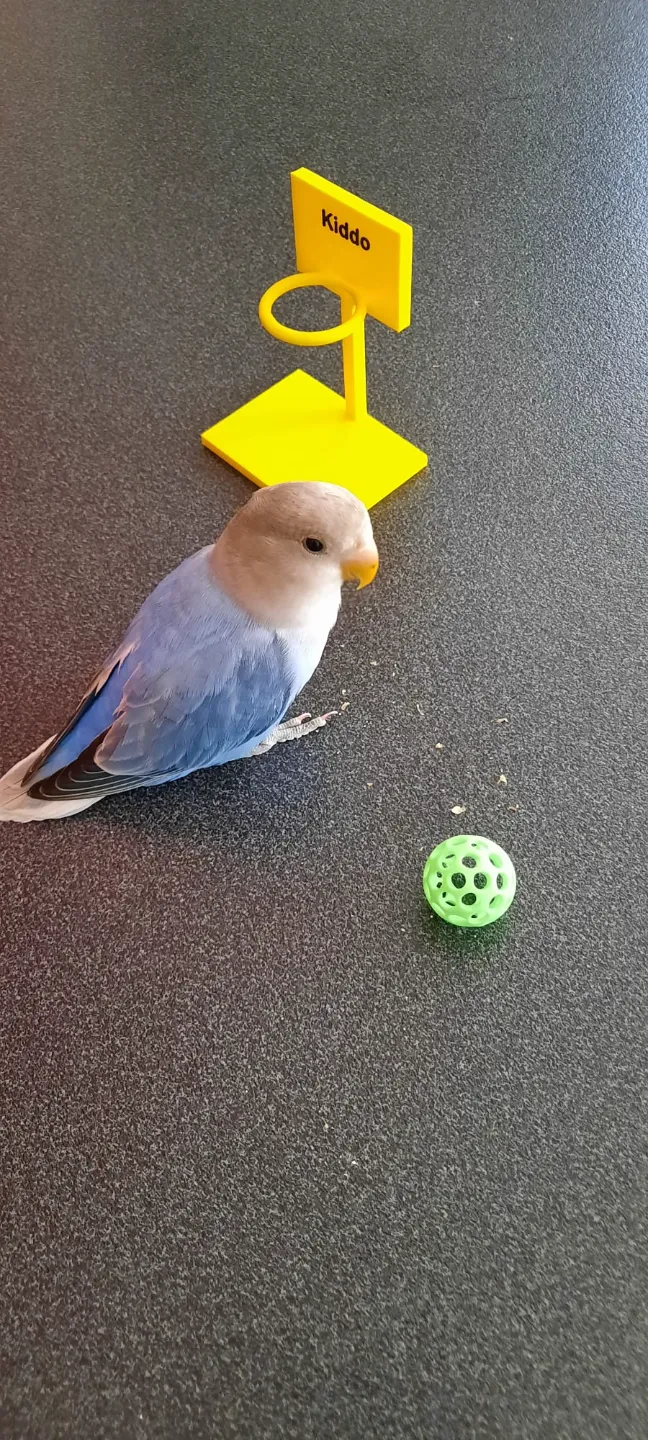 mini basketball - Free 3D Print Model - MakerWorld