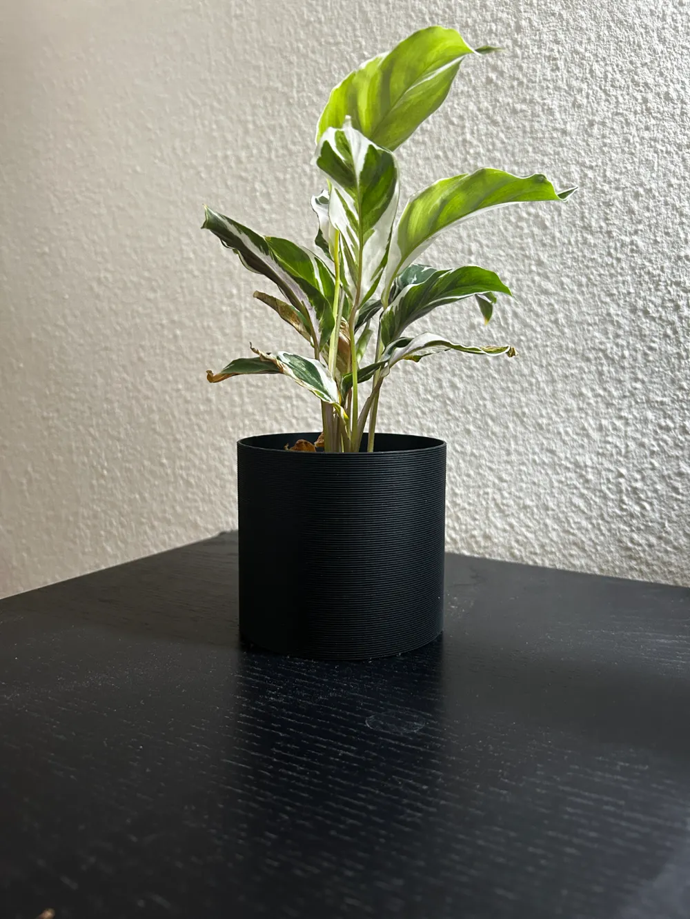 Clean Flower Pot and Planter for Plants Flowerpot - Free 3D Print Model ...
