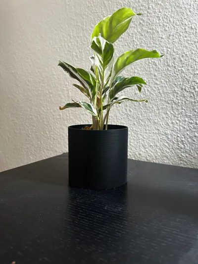 Clean Flower Pot and Planter for Plants Flowerpot - Free 3D Print Model ...