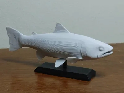 trout 3d print model download - MakerWorld
