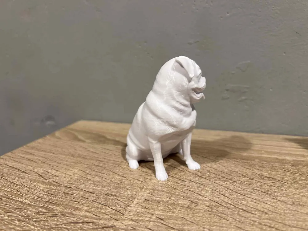 Perro Pug Sentado - Animal - Modelo de impresión 3D gratuito - MakerWorld