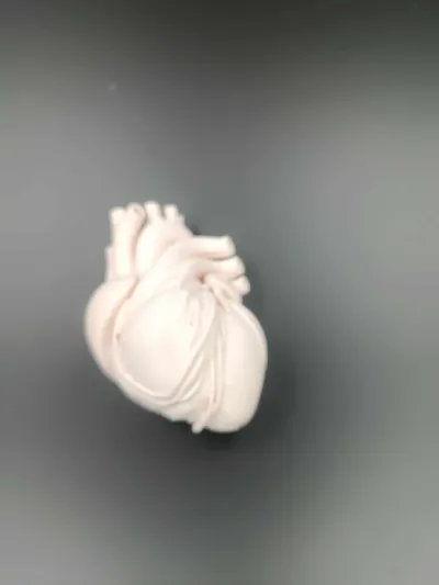 Realistic 3D Heart Model – A Unique & Stunning by drakeforge3d - MakerWorld