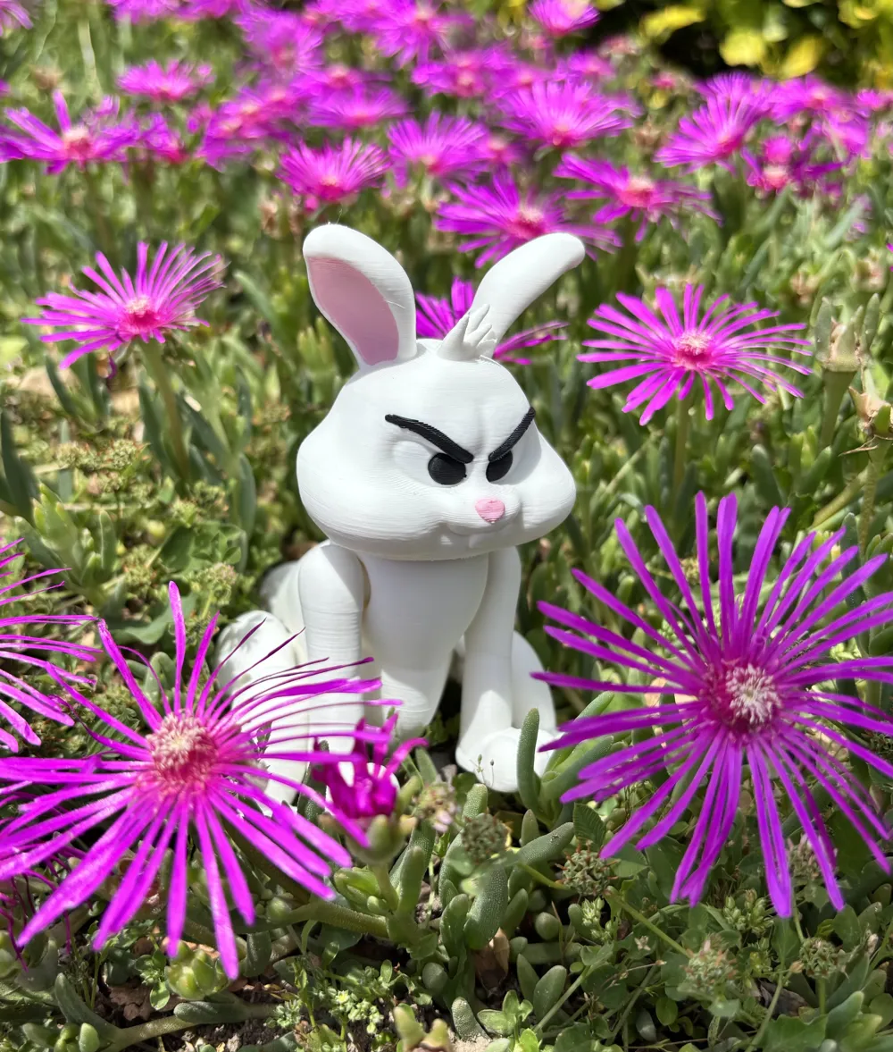 flexi rabbit by Cj 3DPRINT MakerWorld: Download Free 3D Models