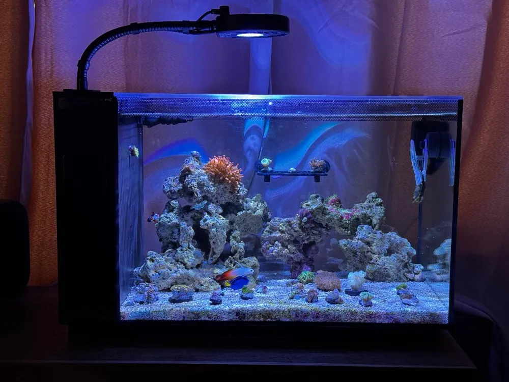 Fluval Chamber Lid - Free 3D Print Model - MakerWorld