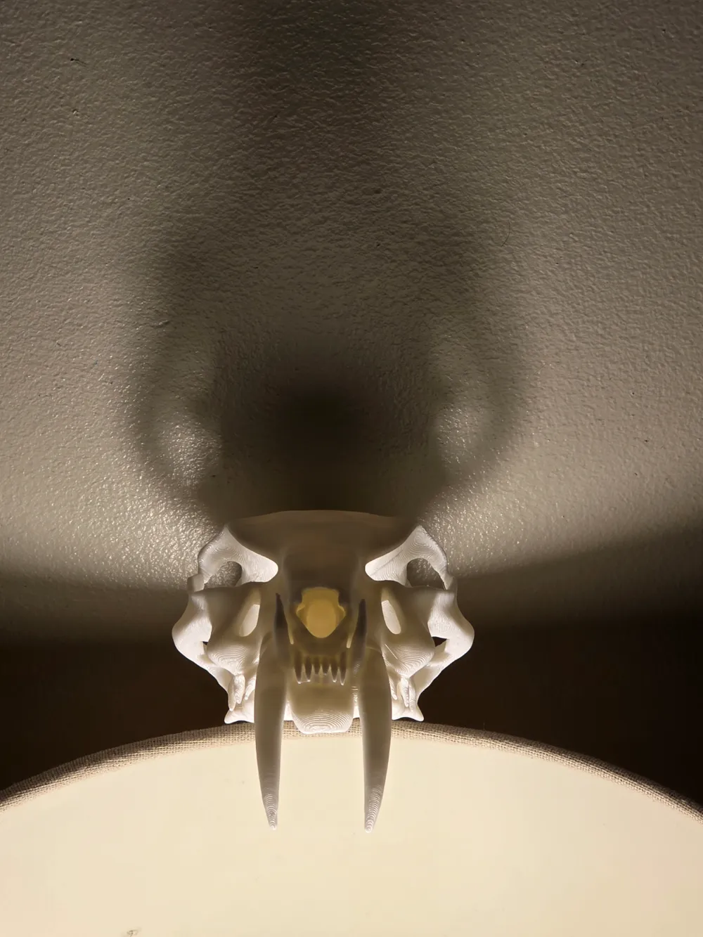 "Sabertooth" Skull by DTM247 MakerWorld: Download Free 3D Models