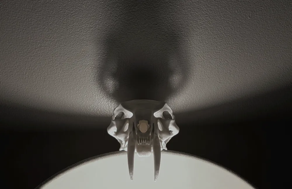 "Sabertooth" Skull by DTM247 MakerWorld: Download Free 3D Models