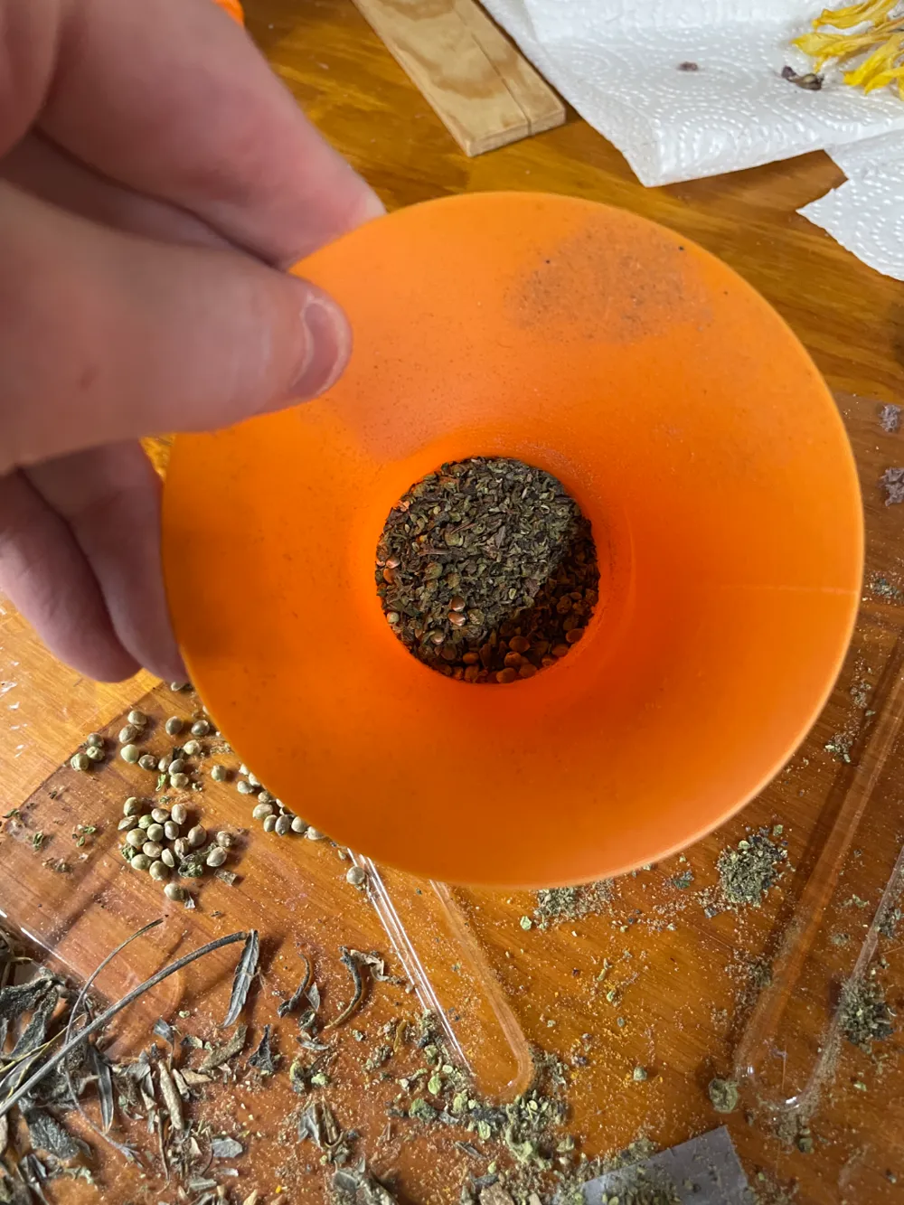 Cannabis Seed Separation Funnel by Caddywhompus - MakerWorld