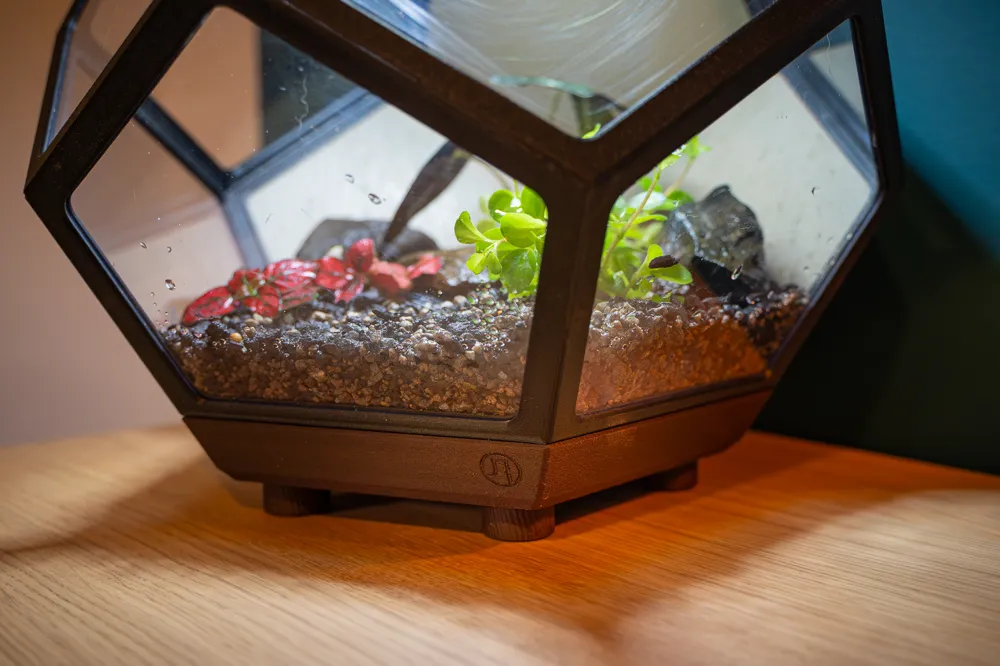 Modular Plant Terrarium / Bottle Garden - Free 3D Print Model - MakerWorld