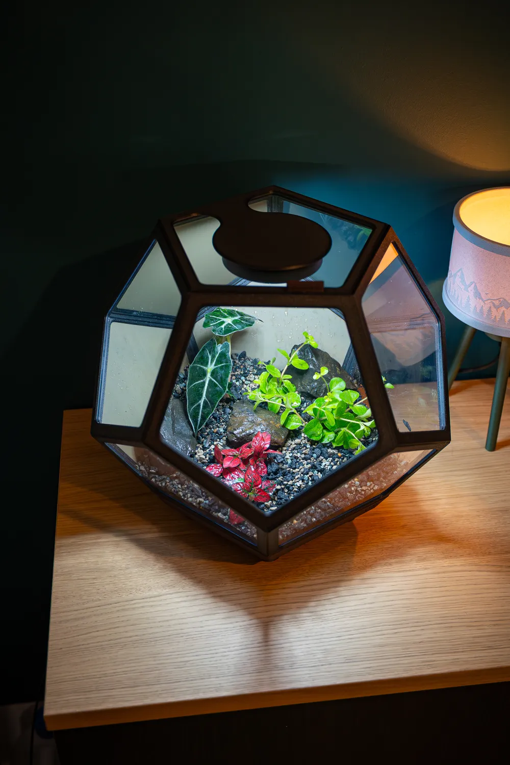 Modular Plant Terrarium / Bottle Garden - Free 3D Print Model - MakerWorld