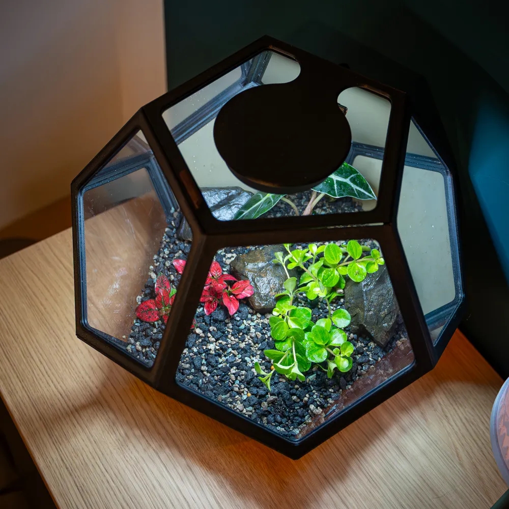 Modular Plant Terrarium / Bottle Garden - Free 3D Print Model - MakerWorld