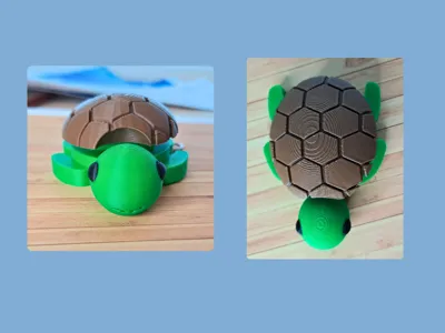 Turtle Clicker Fidget by Clare3D MakerWorld: Download Free 3D Models