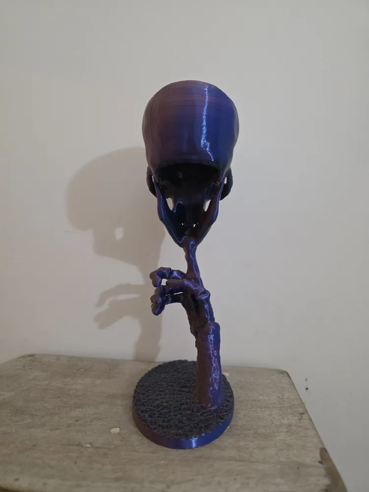 Silent Skull by DTM247 MakerWorld: Download Free 3D Models