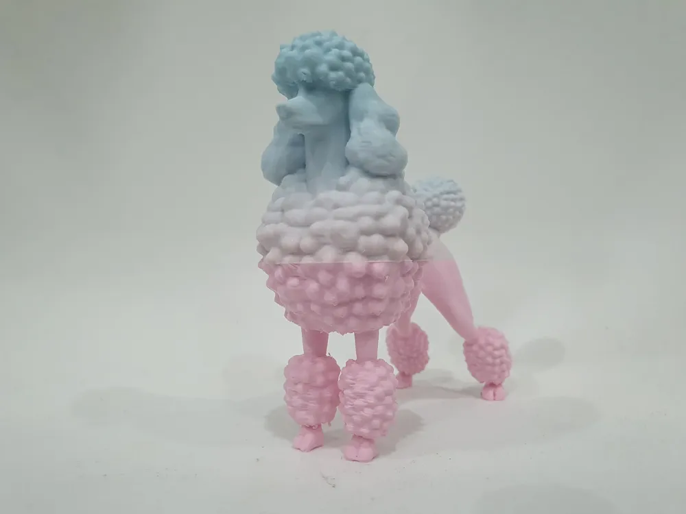 King Poodle Poodle Figure by Staffbull_love MakerWorld: Download Free ...