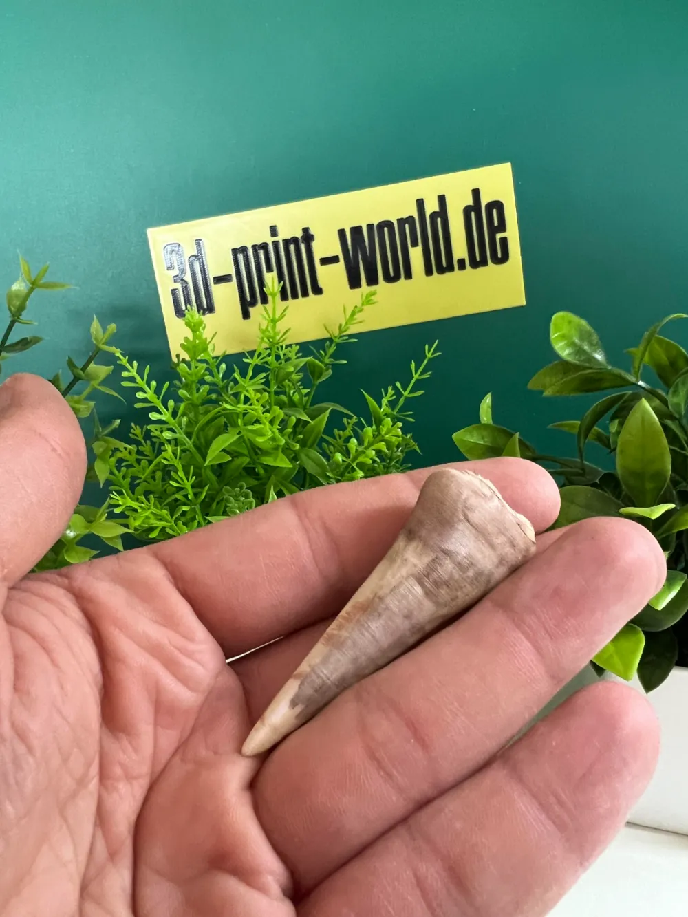 Sabre-Toothed Fish Tooth, a Prehistoric Predator by 3D-Print-World ...