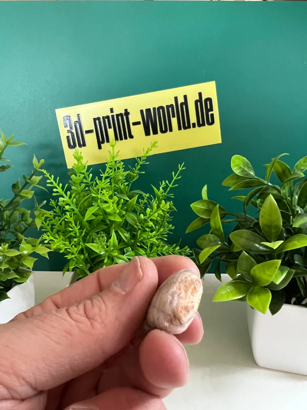 Sabre-Toothed Fish Tooth, a Prehistoric Predator by 3D-Print-World ...